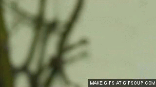 GIF visual art - animated GIF on GIFER