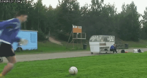 Sports soccer win GIF - Find on GIFER