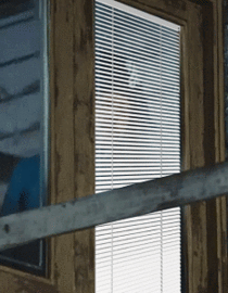 Outside GIF - Find on GIFER