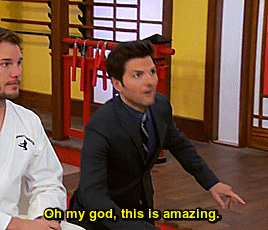 Andy dwyer GIF - Find on GIFER