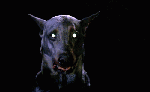 Gif Sobrenatural Del Perro Del Infierno VIDA FÚNEBRE La Ausencia De