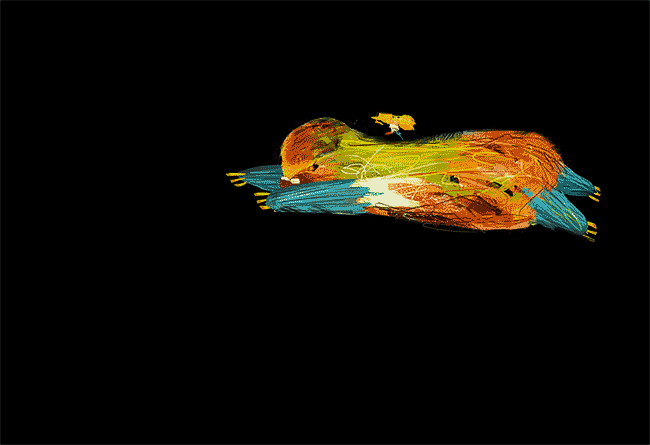 Animation dog loop GIF - Find on GIFER