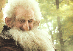 The lord of the rings the hobbit GIF - Find on GIFER