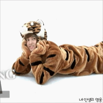 Tiger GIF - Find on GIFER