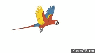 GIF flight - animated GIF on GIFER