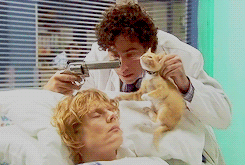 Green wing GIF - Find on GIFER
