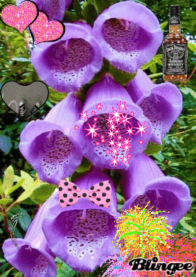Blingee GIF - Find on GIFER