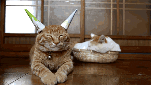 Party GIF - Find on GIFER