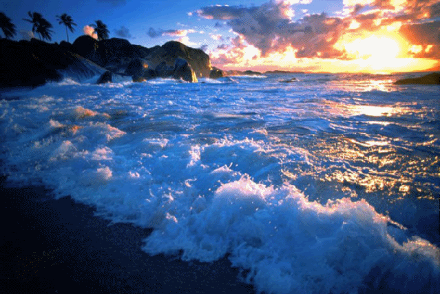 GIF beach - animated GIF on GIFER