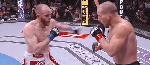 Sports ufc rm GIF - Find on GIFER