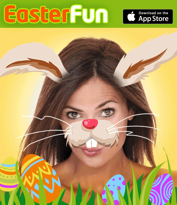 Fun GIF - Find on GIFER