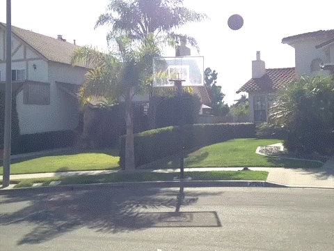 Dinosaur GIF - Find on GIFER