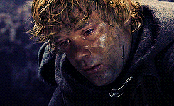 GIF sam frodo the lord of the rings - animated GIF on GIFER