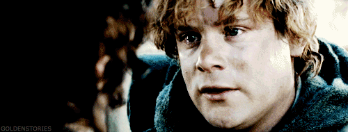 Frodo GIF - Find on GIFER