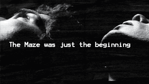 GIF the maze runner - animated GIF on GIFER