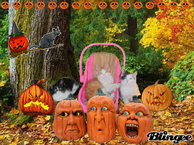 GIF fall - animated GIF on GIFER