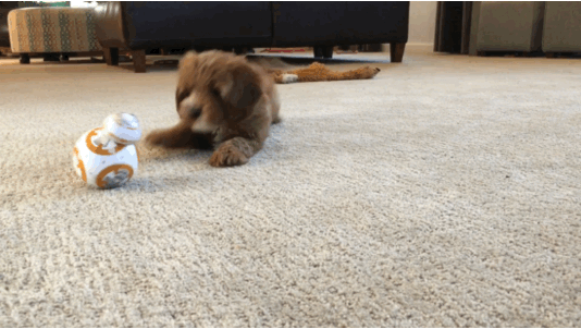 Peeta And Katniss Catching Fire Kiss Gif