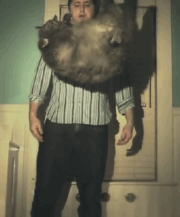 Problem GIF - Find on GIFER