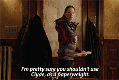 Sherlock holmes turtle GIF - Find on GIFER