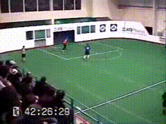 Goal ever GIF - Find on GIFER