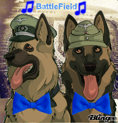 Nazi GIF - Find on GIFER