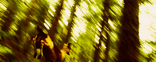GIF s hunt - animated GIF on GIFER