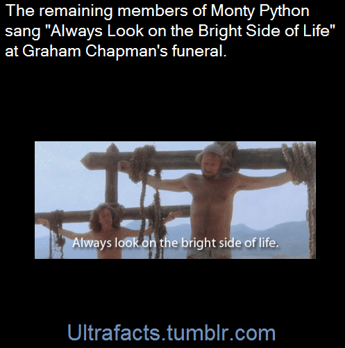 Fun facts GIF - Find on GIFER