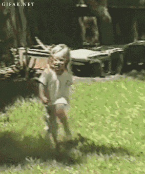GIF gets - animated GIF on GIFER