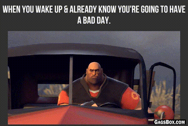 GIF everyday - animated GIF on GIFER