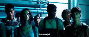 The maze runner GIF - Find on GIFER