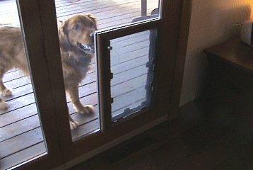 Door GIF - Find on GIFER