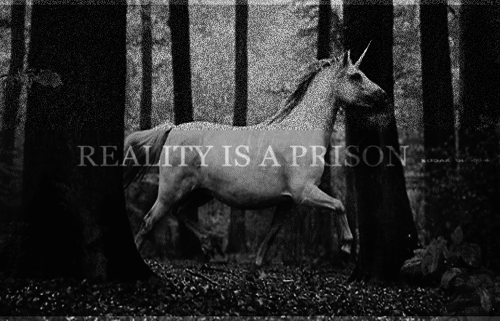 Unicorns Tumblr Gif The Last Unicorn Gif | A Modern Girl