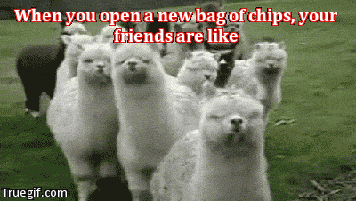 Open GIF - Find on GIFER