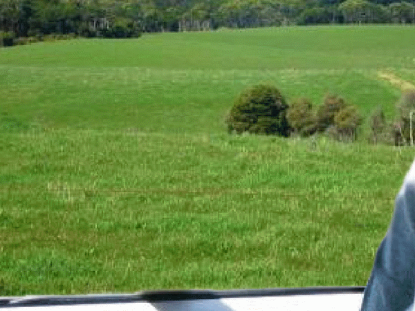 Earth GIF - Find on GIFER