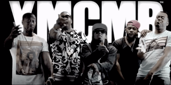 Kitten bae cat GIF - Find on GIFER