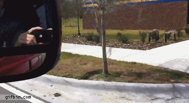 Loop down road GIF - Find on GIFER
