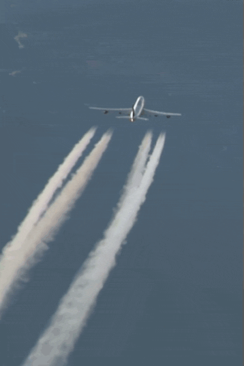 Happy Excited Travel Gif On Gifer By Arcanefire