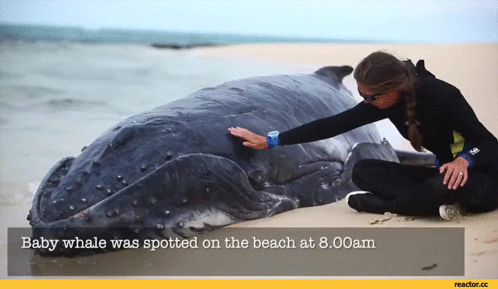 GIF lip bite girl sexy lip bite - animated GIF on GIFER - by Anayargas