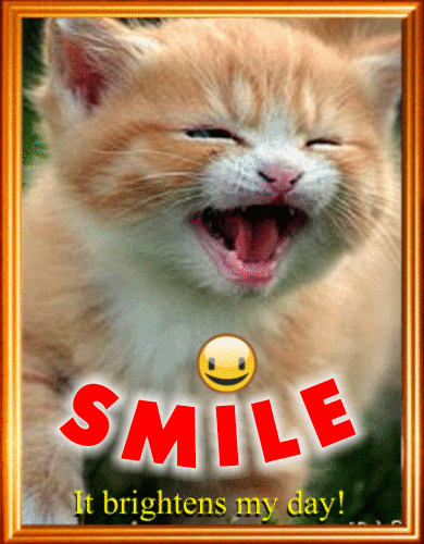 Smile GIF - Find on GIFER
