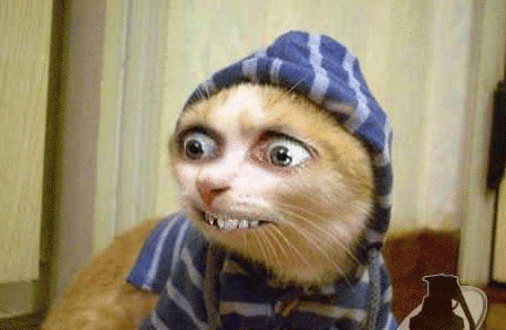 Eyes look GIF - Find on GIFER