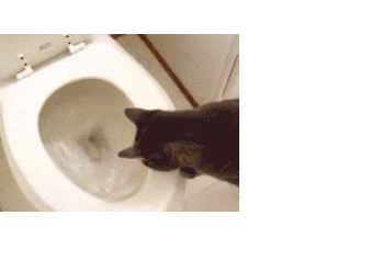 Ryan phillippe 1x04 GIF - Find on GIFER