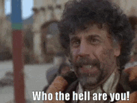 What the hell GIF - Find on GIFER