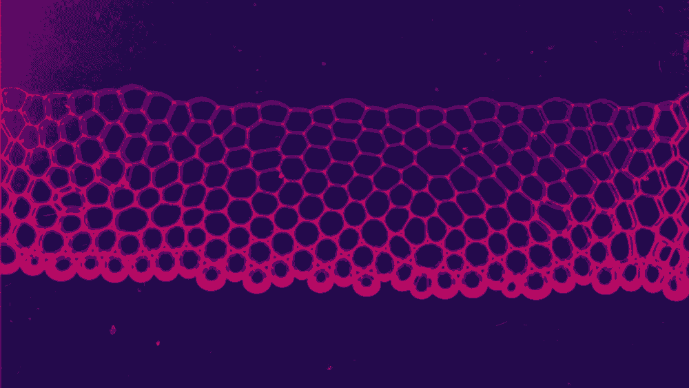 Pule GIF - Find on GIFER