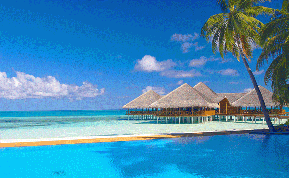 Travel GIF - Find on GIFER