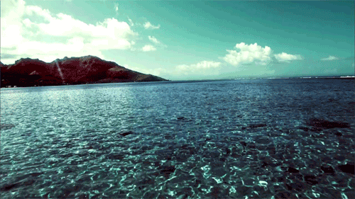 Nature infinity GIF - Find on GIFER