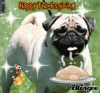 Pug GIF - Find on GIFER