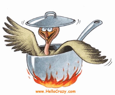 Turkey GIF - Find on GIFER