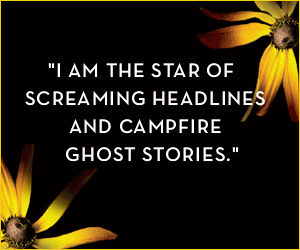 Features GIF - Find on GIFER