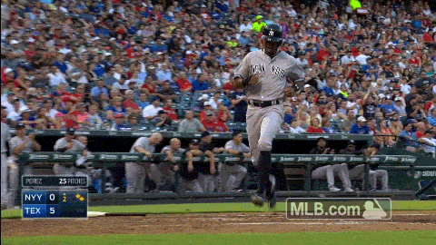 Yankees GIF - Find on GIFER