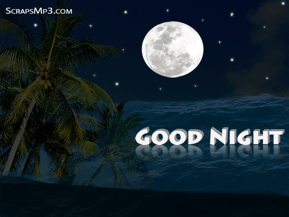 GIF night - animated GIF on GIFER